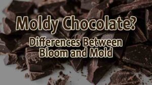 Can Chocolate Get Moldy? Differences Between Bloom and Mold | CandyTurf