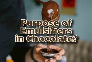 What's the Purpose of Emulsifiers in Chocolates? (Answered) | CandyTurf